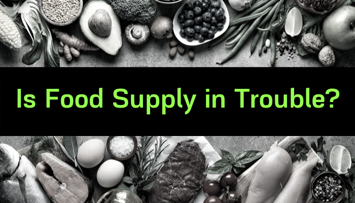 Is Food Supply in Trouble? - Food Institute Focus