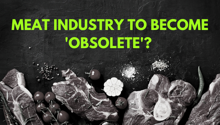 Meat Industry to Become 'Obsolete'? - Food Institute Focus
