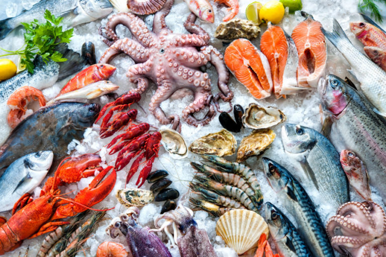 BlueNalu Raises $60M, Pushing Cell-Based Seafood Closer to Mainstream ...