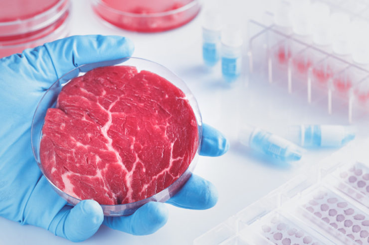 Are You Ready for 3-D Printed Steak? - The Food Institute