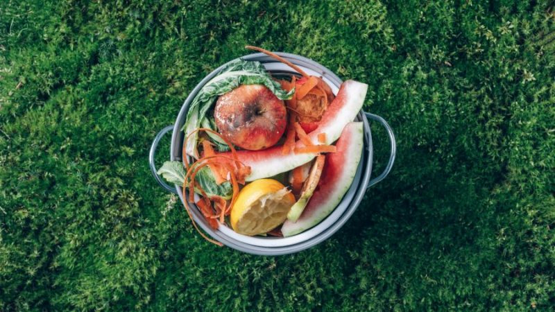 Food Institute Webinar Takes a Closer Look at Food Waste Innovation ...