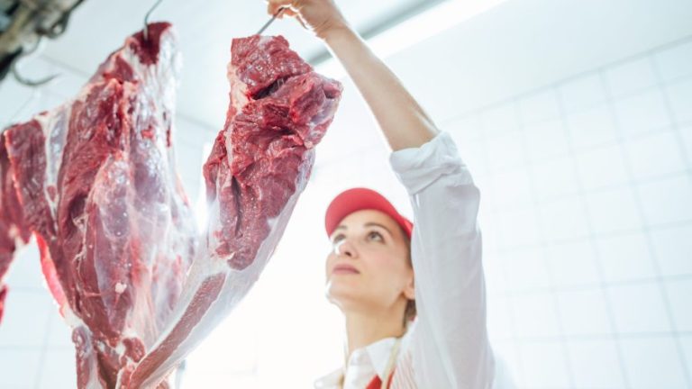 New Group Provides ‘Voice’ for Women in Meat Industry - The Food Institute