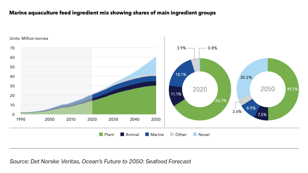 Report: Global Seafood Production Could Rise 20% to 2050 - The Food ...