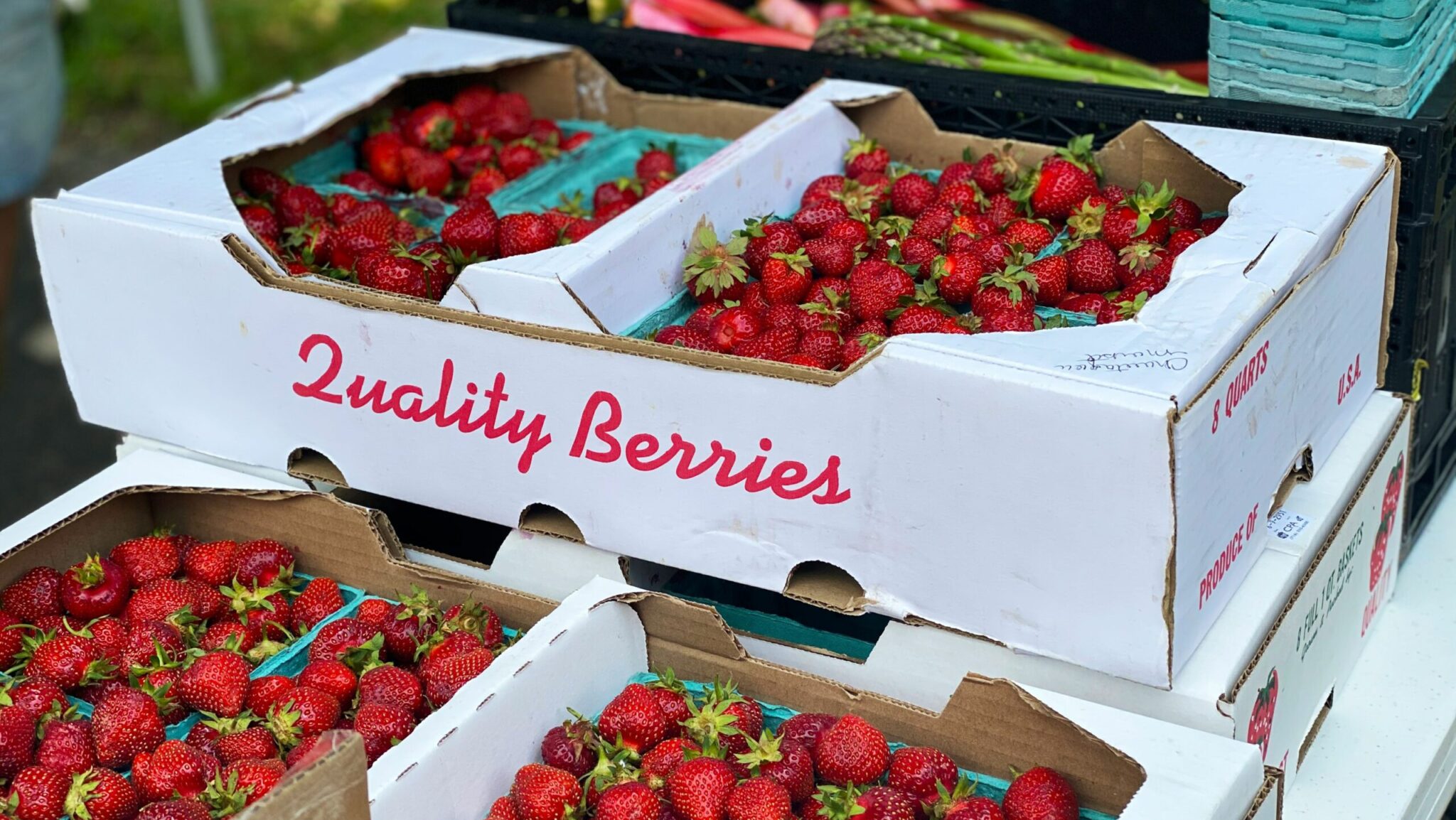 United Natural Foods in Crisis: Can Distributor Recover from Stock ...