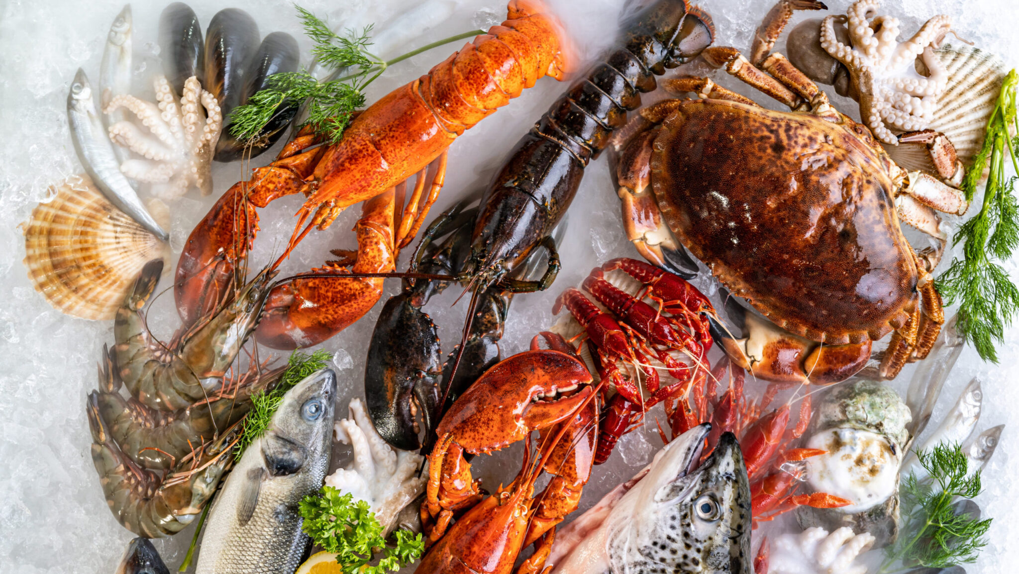 Seafood Restaurant Outlook: Lessons from Red Lobster - The Food Institute