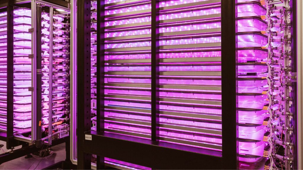 Quantum Leap: Is Quantum Farming the Future of Produce? - The Food ...