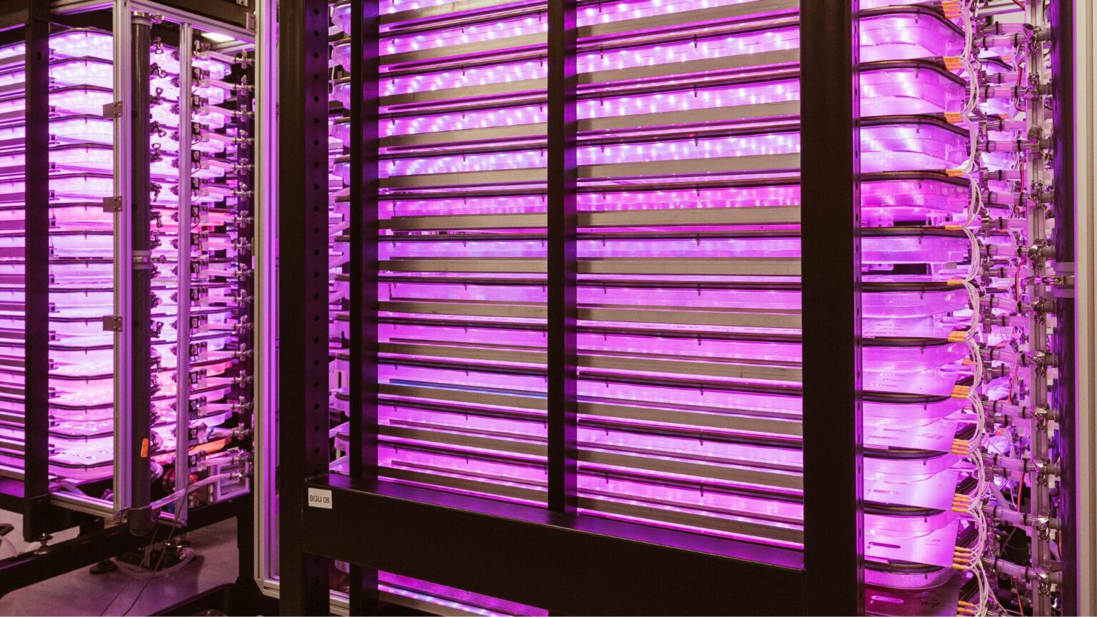 Quantum Leap: Is Quantum Farming the Future of Produce? - The Food ...