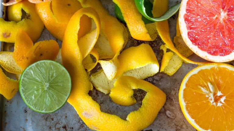 Pulp Friction: Citrus Waste Packaging vs. Plastics - The Food Institute
